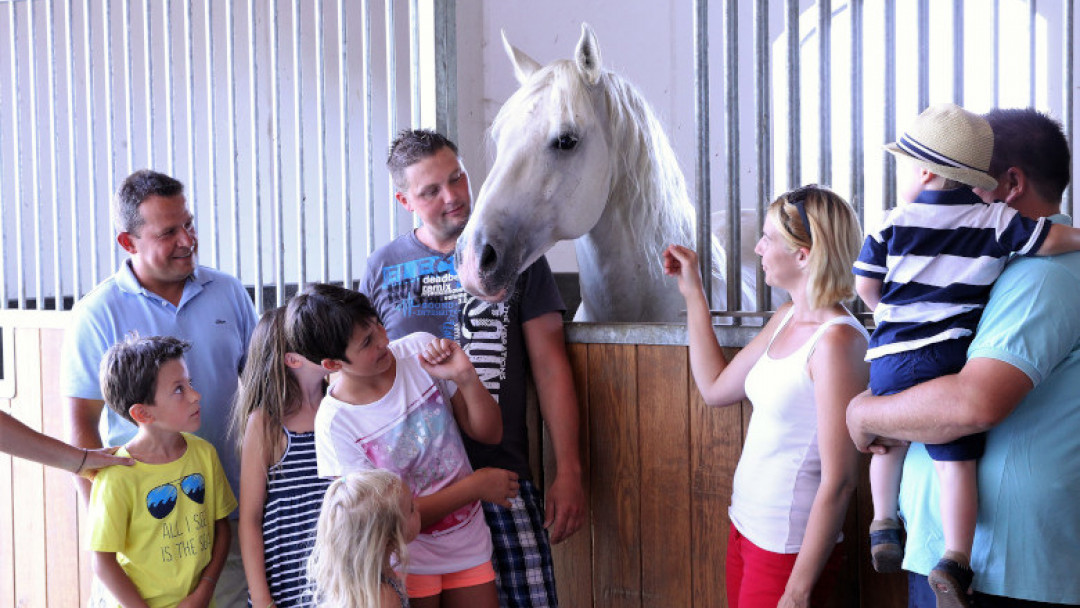 Der Heldenberg – Freier Eintritt mit der NÖ-CARD