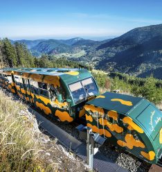 Schneebergbahn Sesselbahn – Freier Eintritt mit der NÖ-CARD