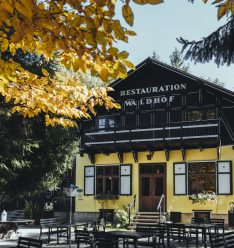 Freibad Stockerau – Freier Eintritt mit der NÖ-CARD